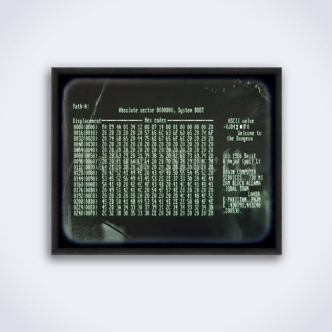 The Pakistani Brain Ever First Wild Computer Virus 1986 Poster ...