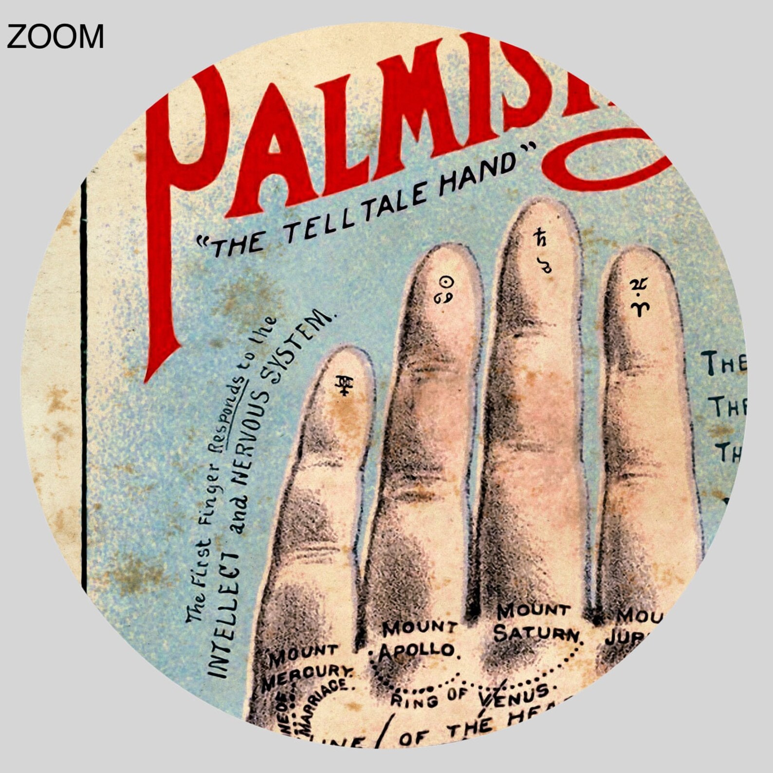 Vintage Palmistry Guide Poster: Chiromancy Hand Diagram (digital ...