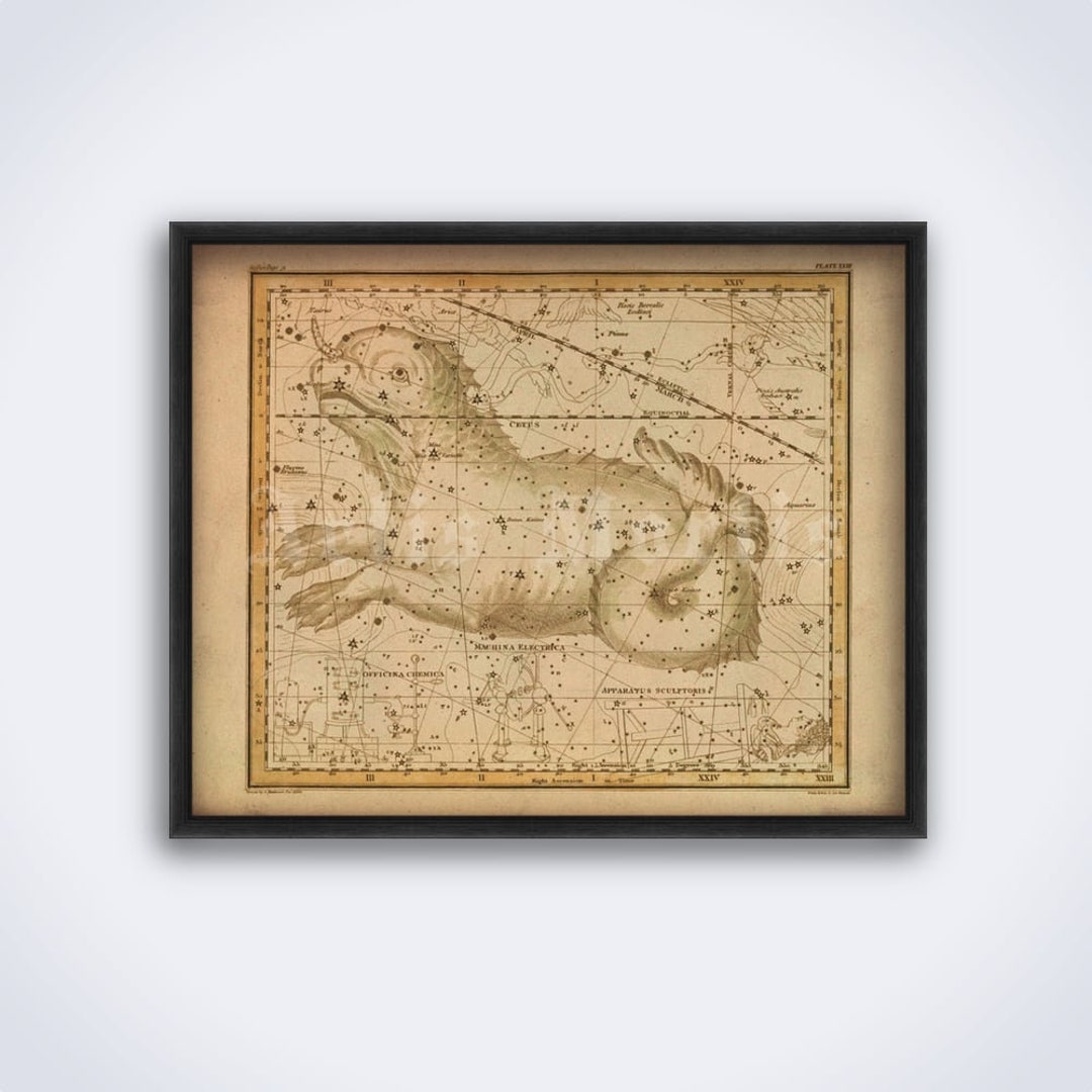Cetus Zodiacal Constellation, the Whale, Vintage Astronomy, Astrology ...