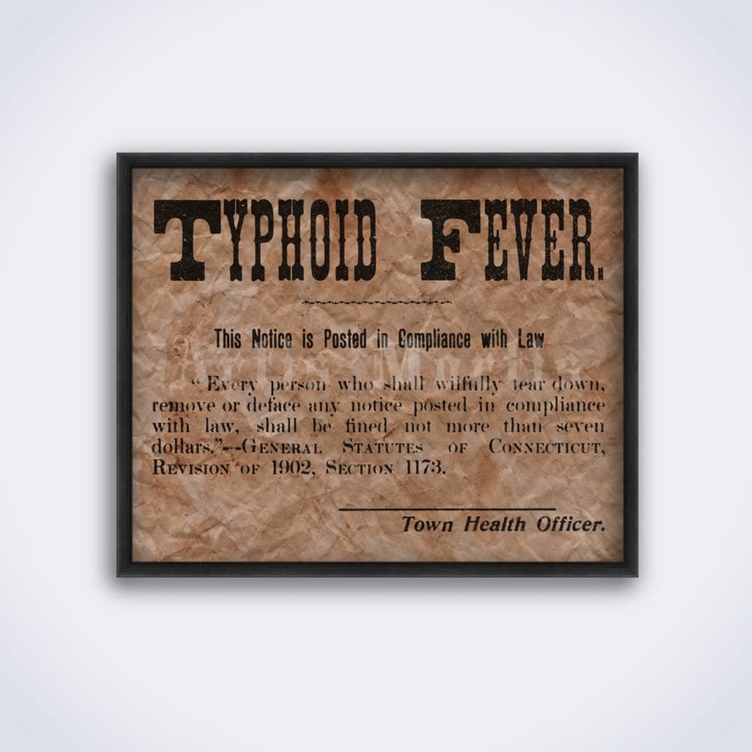 Typhoid Fever - Vintage Medical Broadside, Medicine History, Epidemic ...