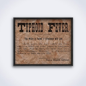 Typhoid Fever - Vintage Medical Broadside, Medicine History, Epidemic ...