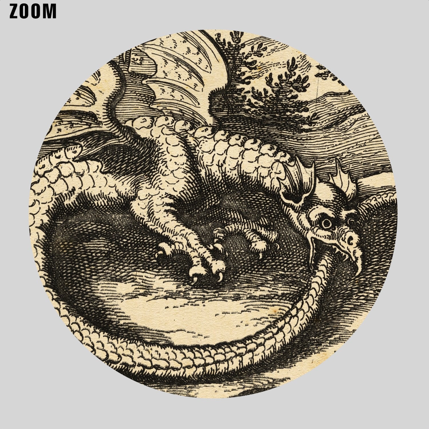 Ouroboros Serpent Eating Its Tail Alchemical Illustration | Etsy