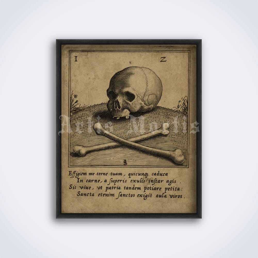 Midevil Skull Drawing Ok. I Have It: Dark Medieval Academia (maybe