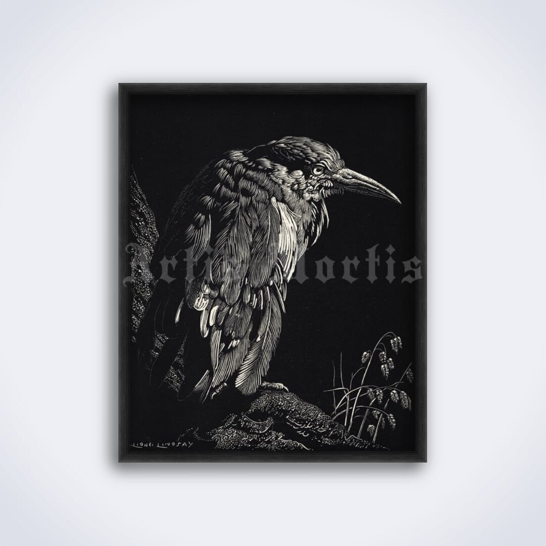 Raven Bird Antique Lithograph, Crow, Vintage Gothic, Witchy Decor, Dark ...