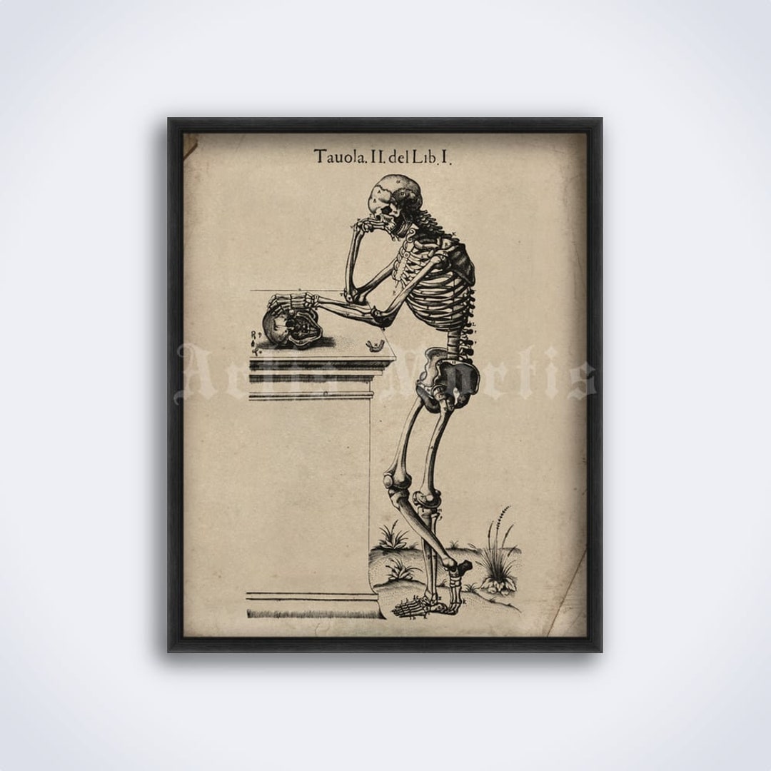 Thinking and Sad Human Skeleton – Anatomy, Skull Art, Medieval Medicine ...