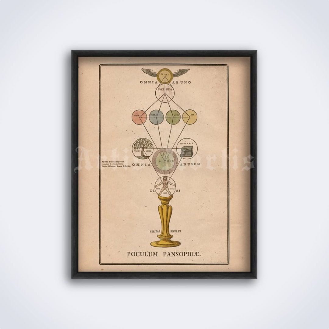 Tree of Pansophia Diagram, Metaphysics, Human Microcosm, Macrocosm ...