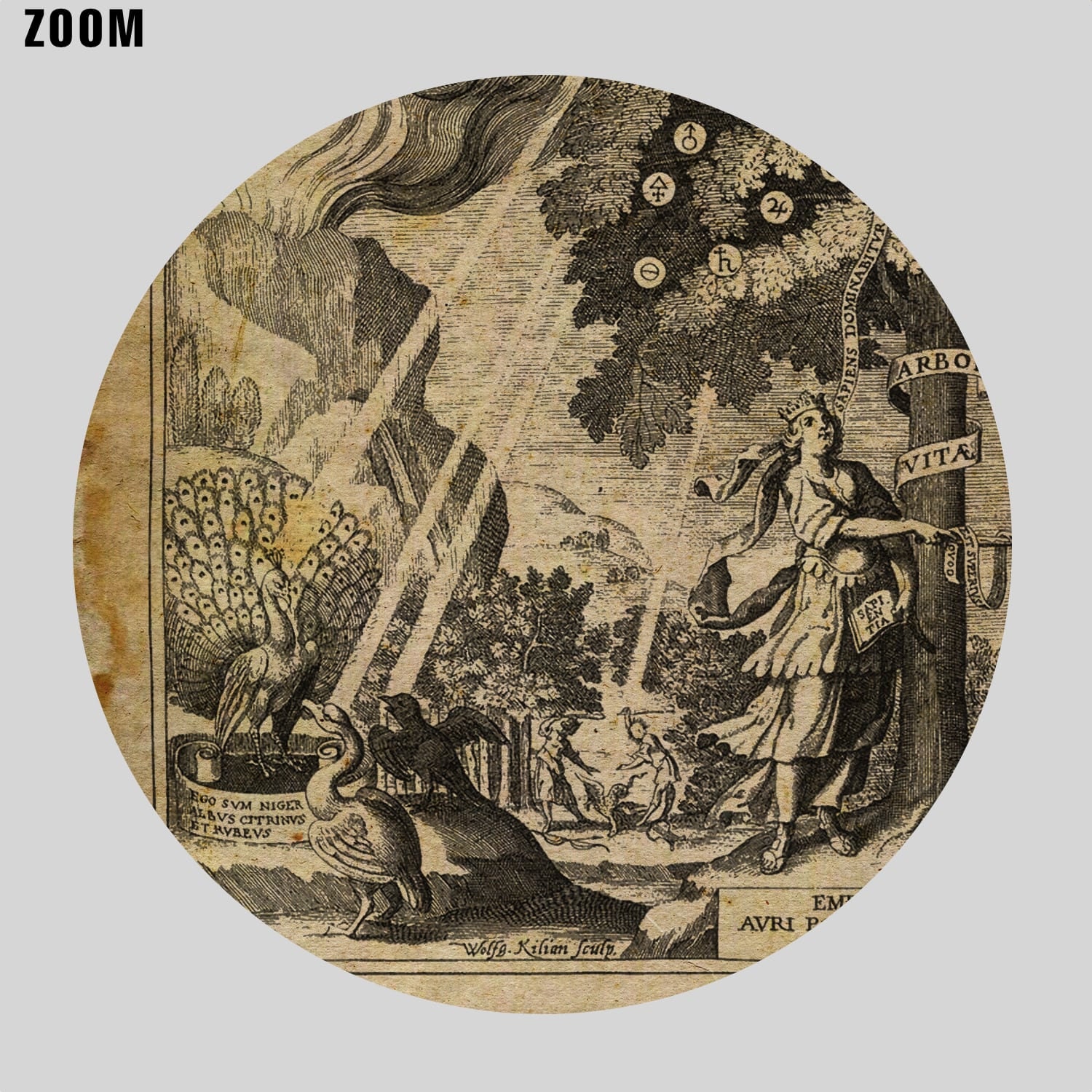 Alchemical Preparations Medieval Engraving Alchemy Art - Etsy