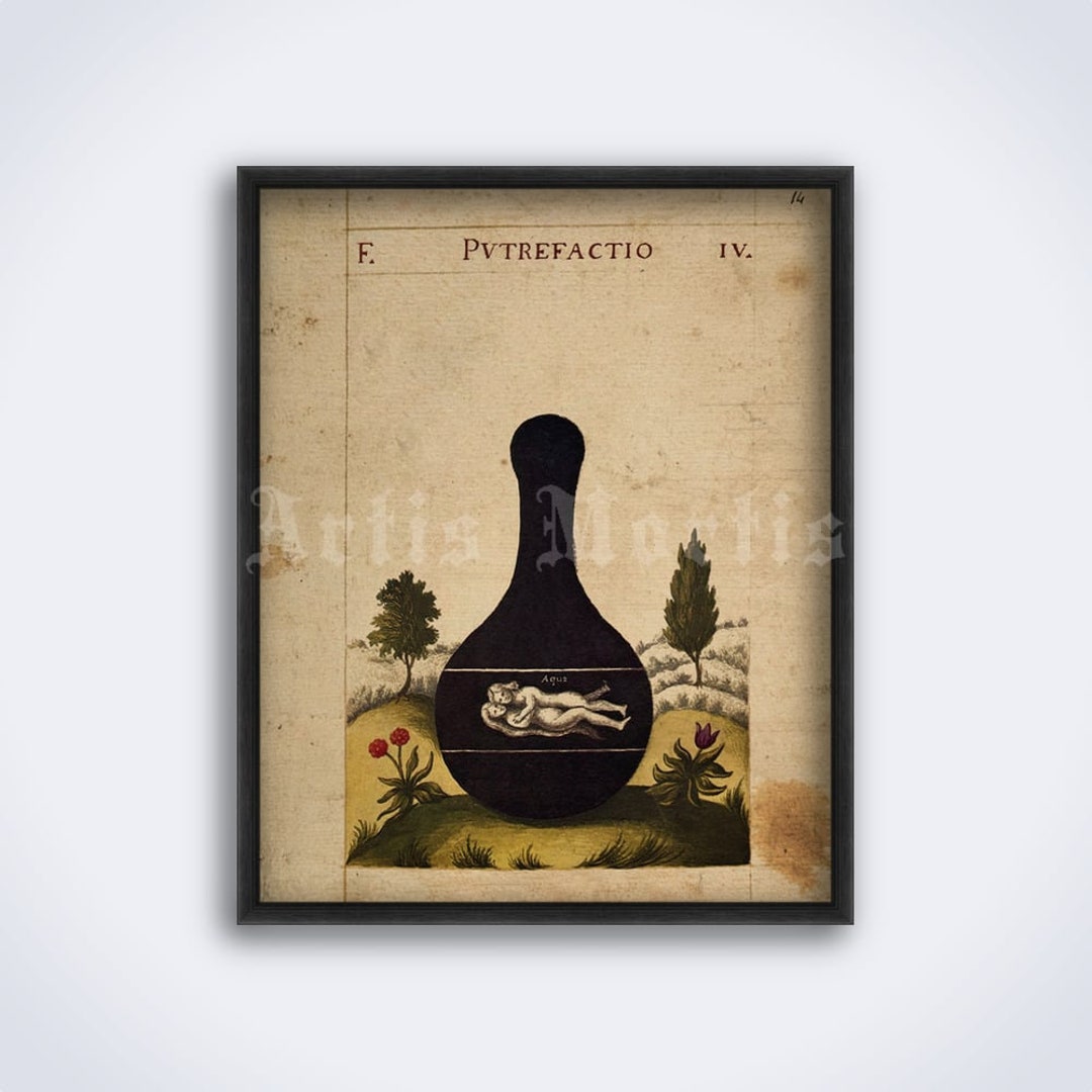 Alchemy Art, Dorum Dei Plate IV Putrefaction, Albedo Nigredo Rubedo ...
