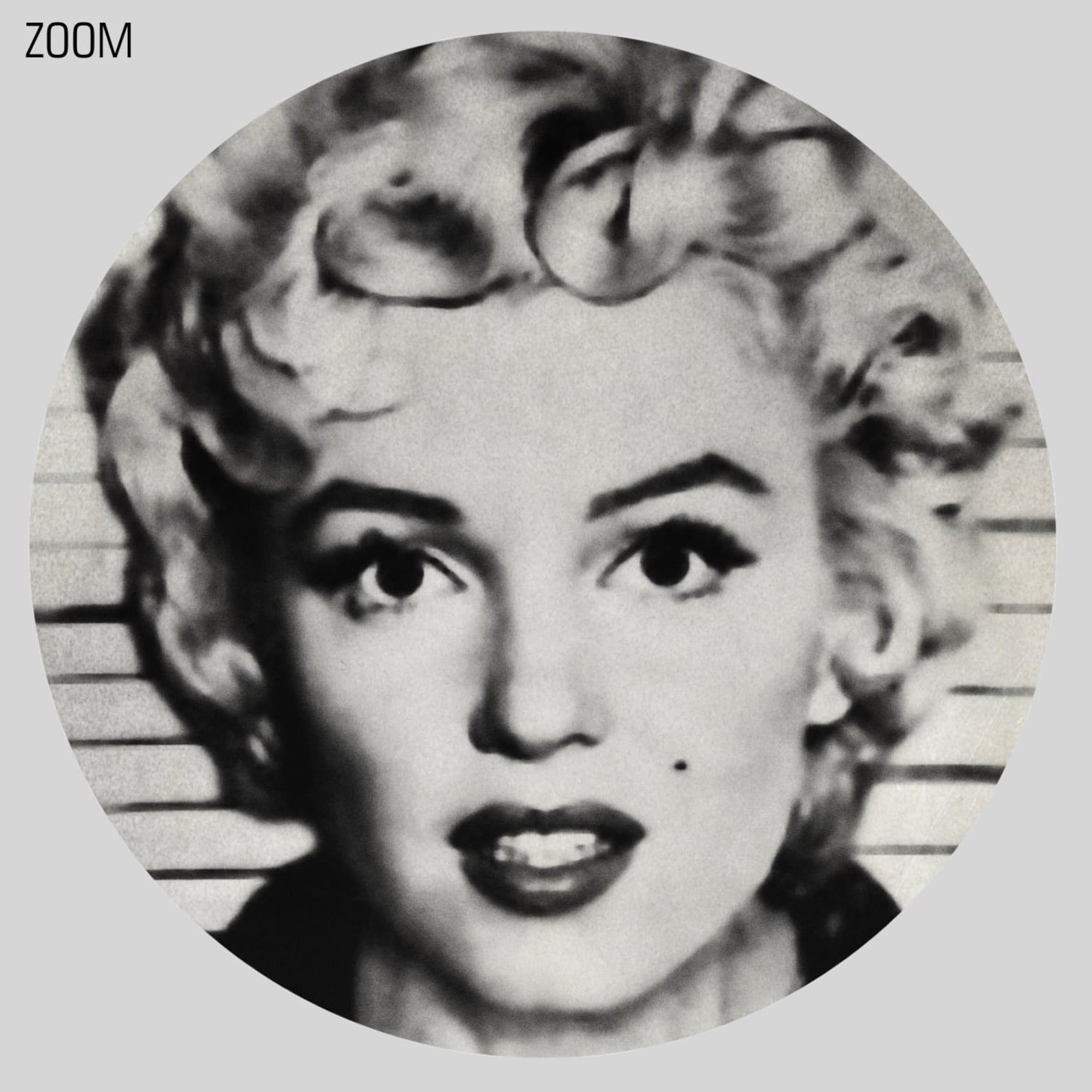 Marilyn Monroe Arrest Mugshot Vintage Photo Hollywood - Etsy New Zealand