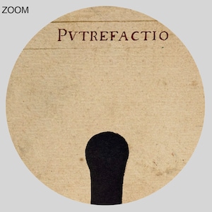 Alchemy Art, Dorum Dei Plate IV Putrefaction, Albedo Nigredo Rubedo ...