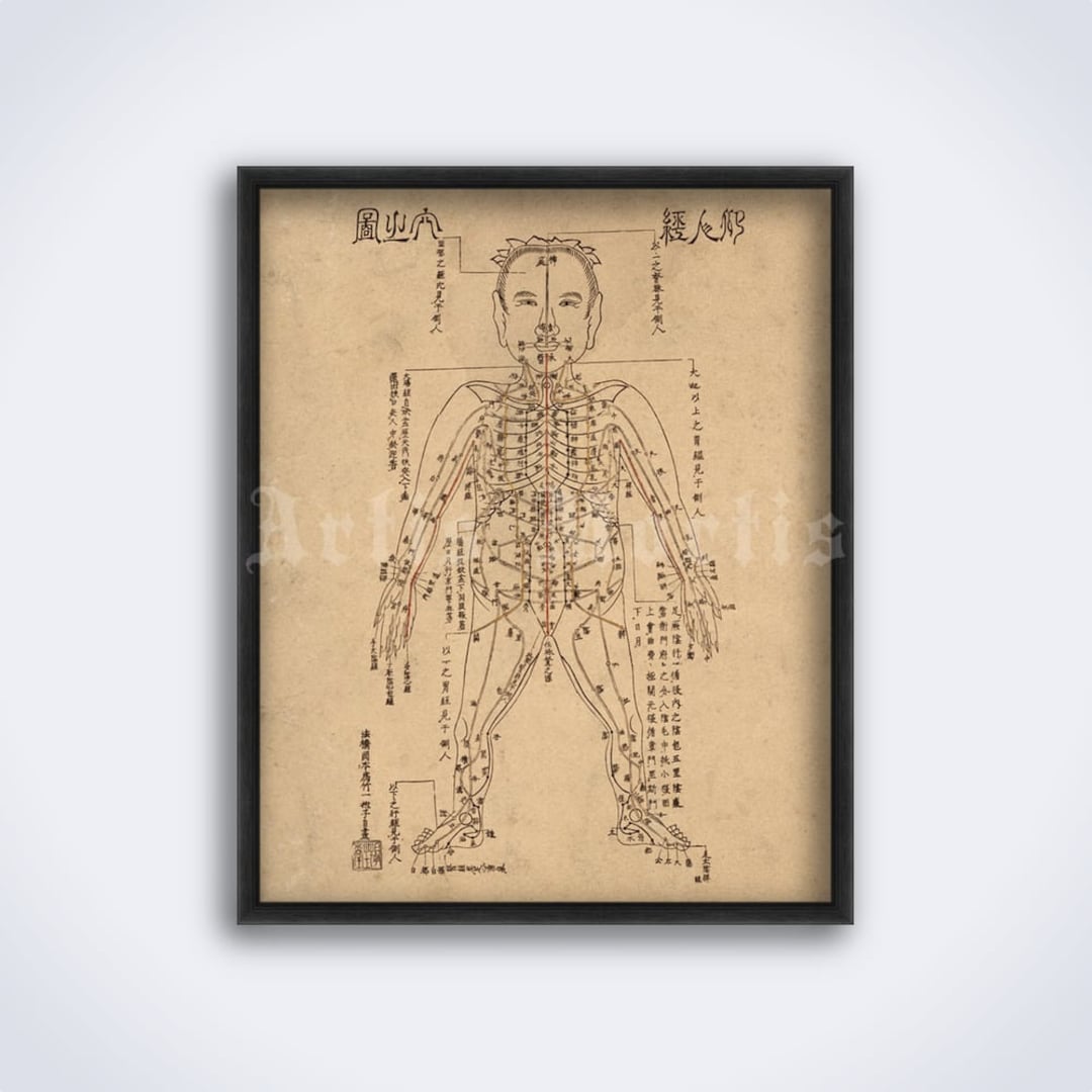 Acupuncture Points Diagram, Human Body Map, Vintage Traditional Chinese ...