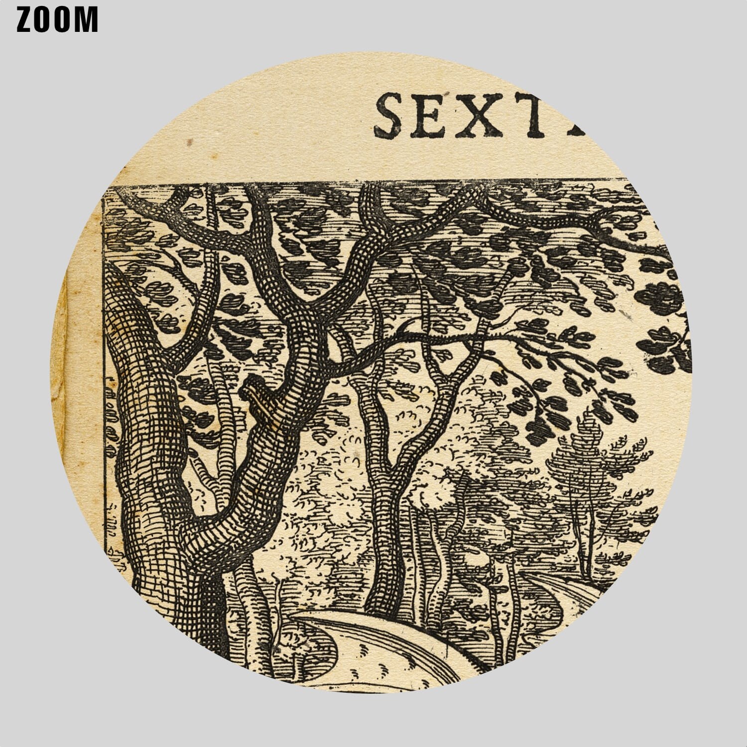 Ouroboros Serpent Eating Its Tail Alchemical Illustration | Etsy