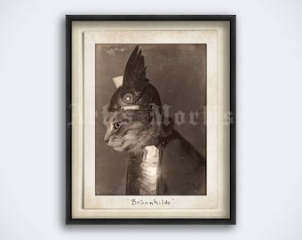 Brunnhilde Cat Photo - Etsy