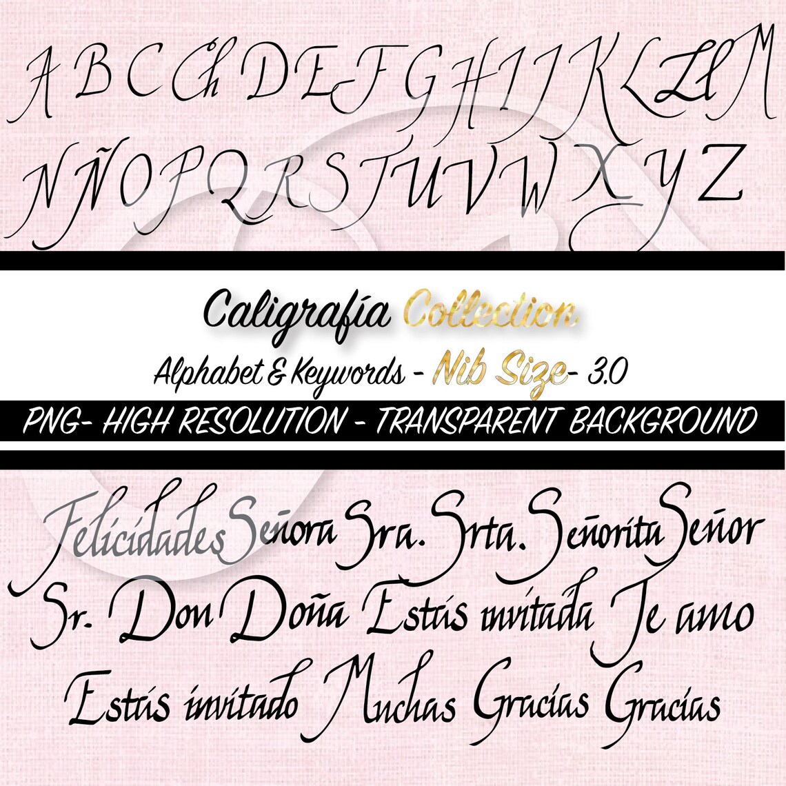 HANDWRITTEN SPANISH CALLIGRAPHY- Collection Png- Italic Digital ...
