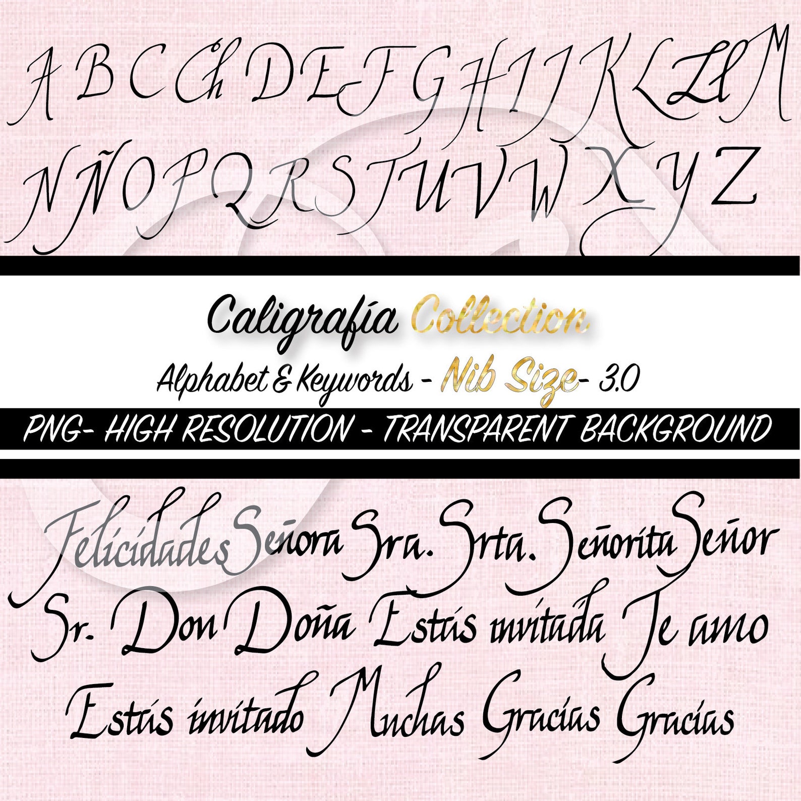 HANDWRITTEN SPANISH CALLIGRAPHY- Collection Png- Italic Digital ...