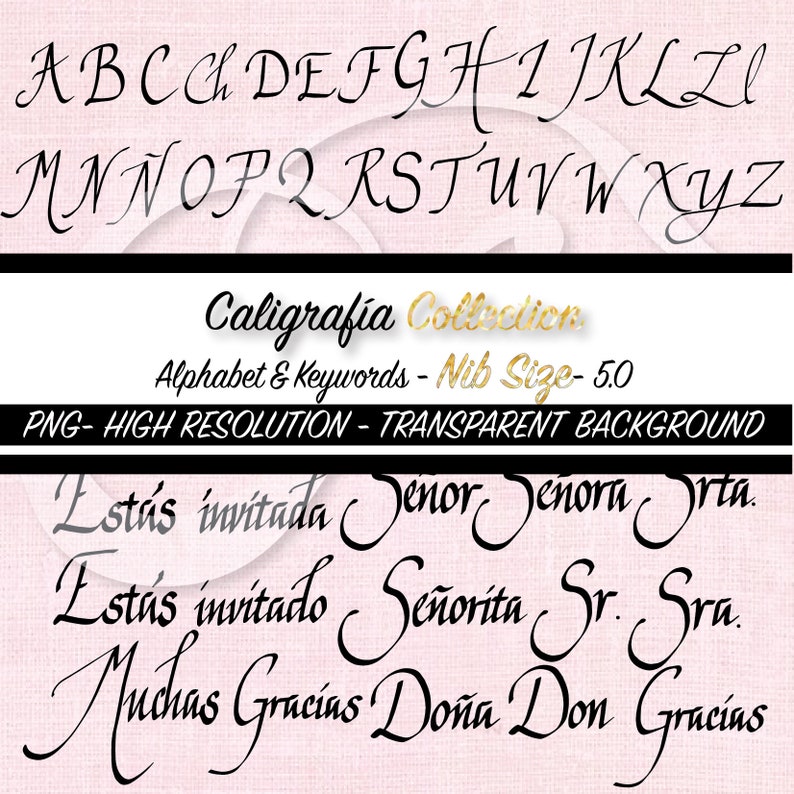 HANDWRITTEN SPANISH CALLIGRAPHY- Collection Png- Italic Digital ...