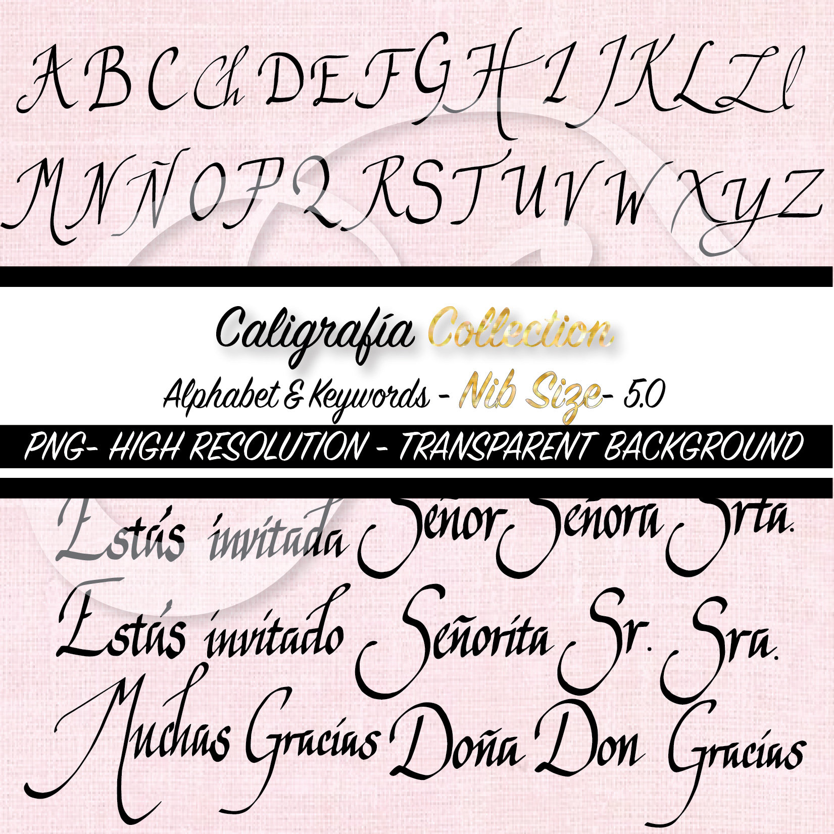 HANDWRITTEN SPANISH CALLIGRAPHY- Collection Png- Italic Digital ...