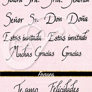 HANDWRITTEN SPANISH CALLIGRAPHY- Collection Png- Italic Digital ...