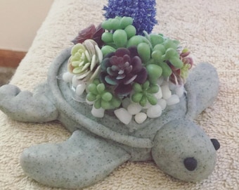 Whimsical Succulent Turtle Topiary DIY Kit NEW FREE Shipping - Etsy