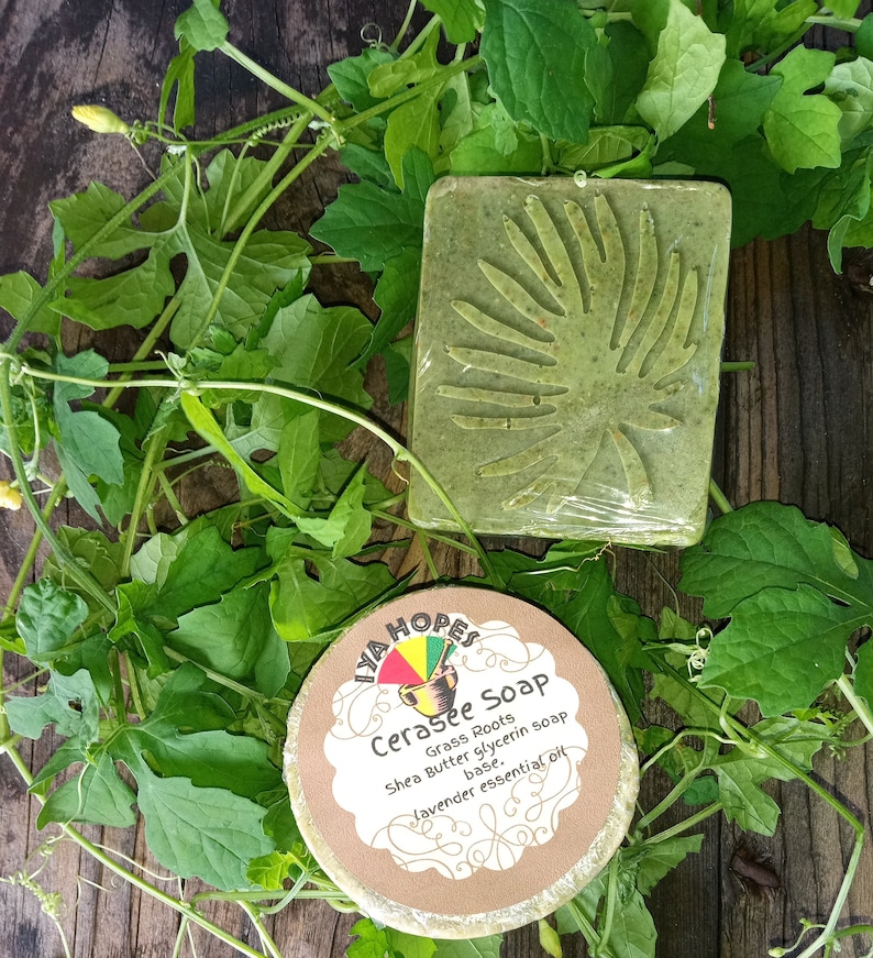 Cerasee Soap/asosi/momordica/bitter Melon/nyanya - Etsy