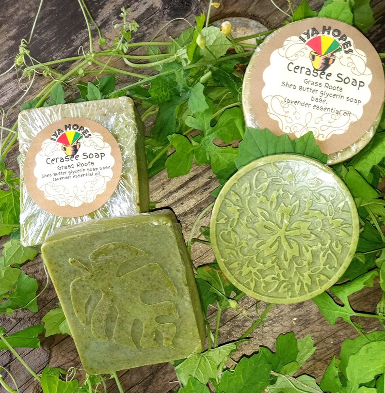 Cerasee Soap/asosi/momordica/bitter Melon/nyanya - Etsy
