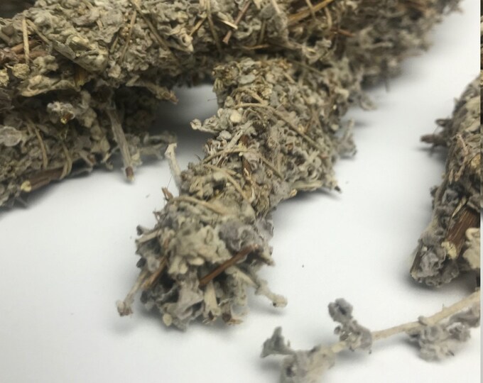 Mphepho imphepho Herb Africa's Sacred Plant african - Etsy