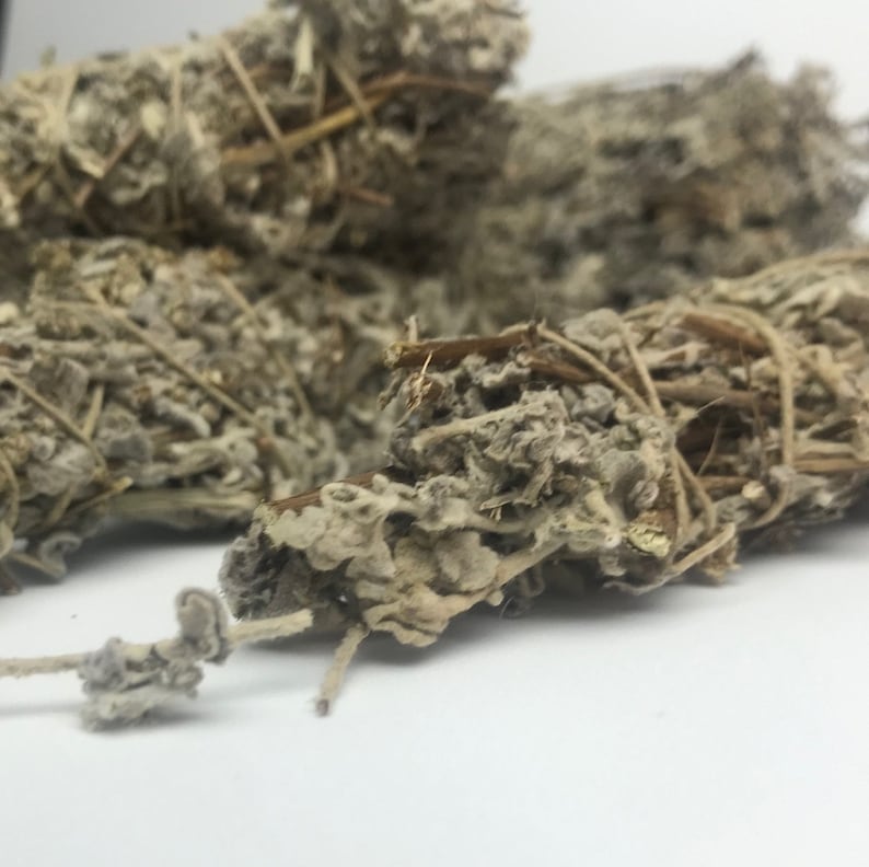 Imphepho Odoratissimum Herb Bundle African Sacred Plant | Etsy