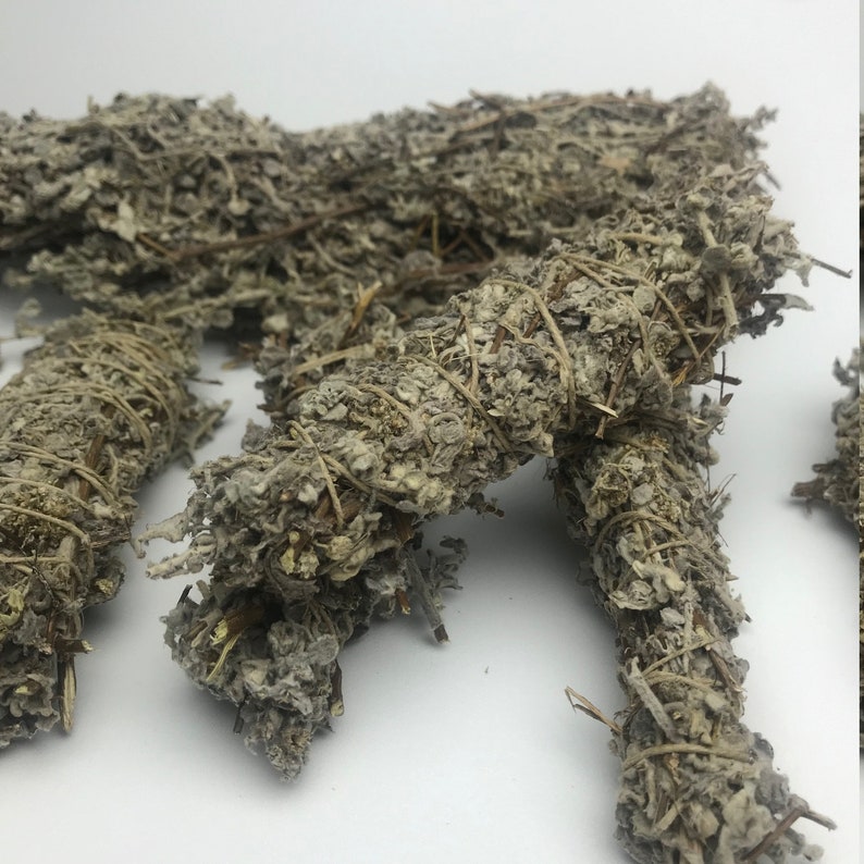 Imphepho Odoratissimum Herb Bundle African Sacred Plant | Etsy