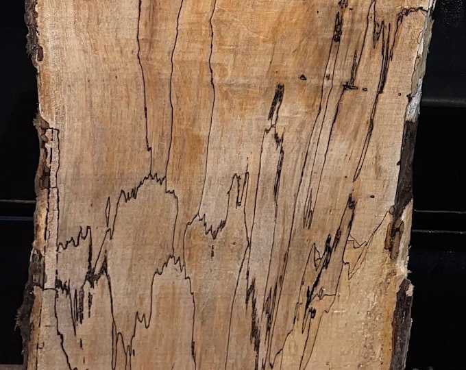 Spalted Maple Slab #1625 - Etsy