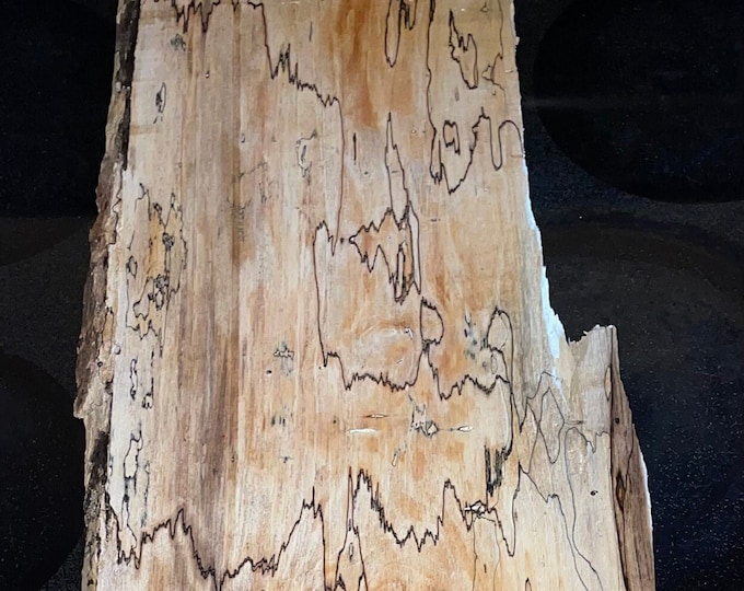 Spalted Maple Slab #1732 - Etsy