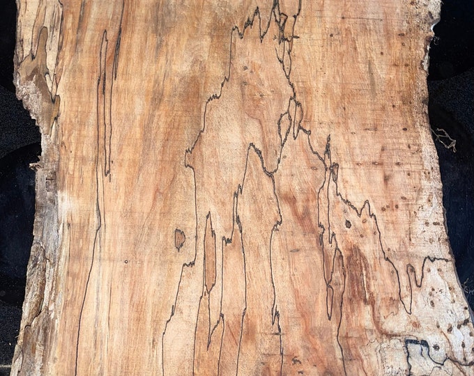 Spalted Maple Slab #1599 - Etsy