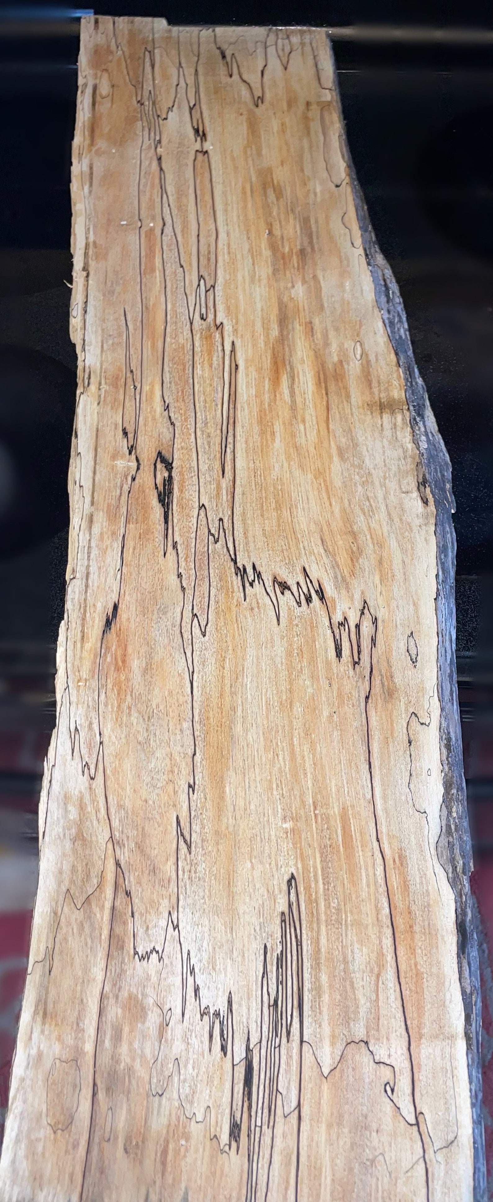 Spalted Maple Slab #1837 - Etsy