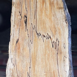Spalted Maple Slab #1837 - Etsy