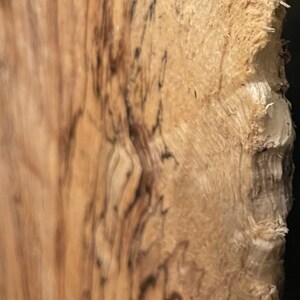 Spalted Maple Slab 1647 - Etsy