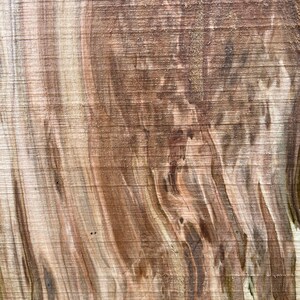 Ambrosia (wormy) Soft Maple Slab #1234 - Etsy
