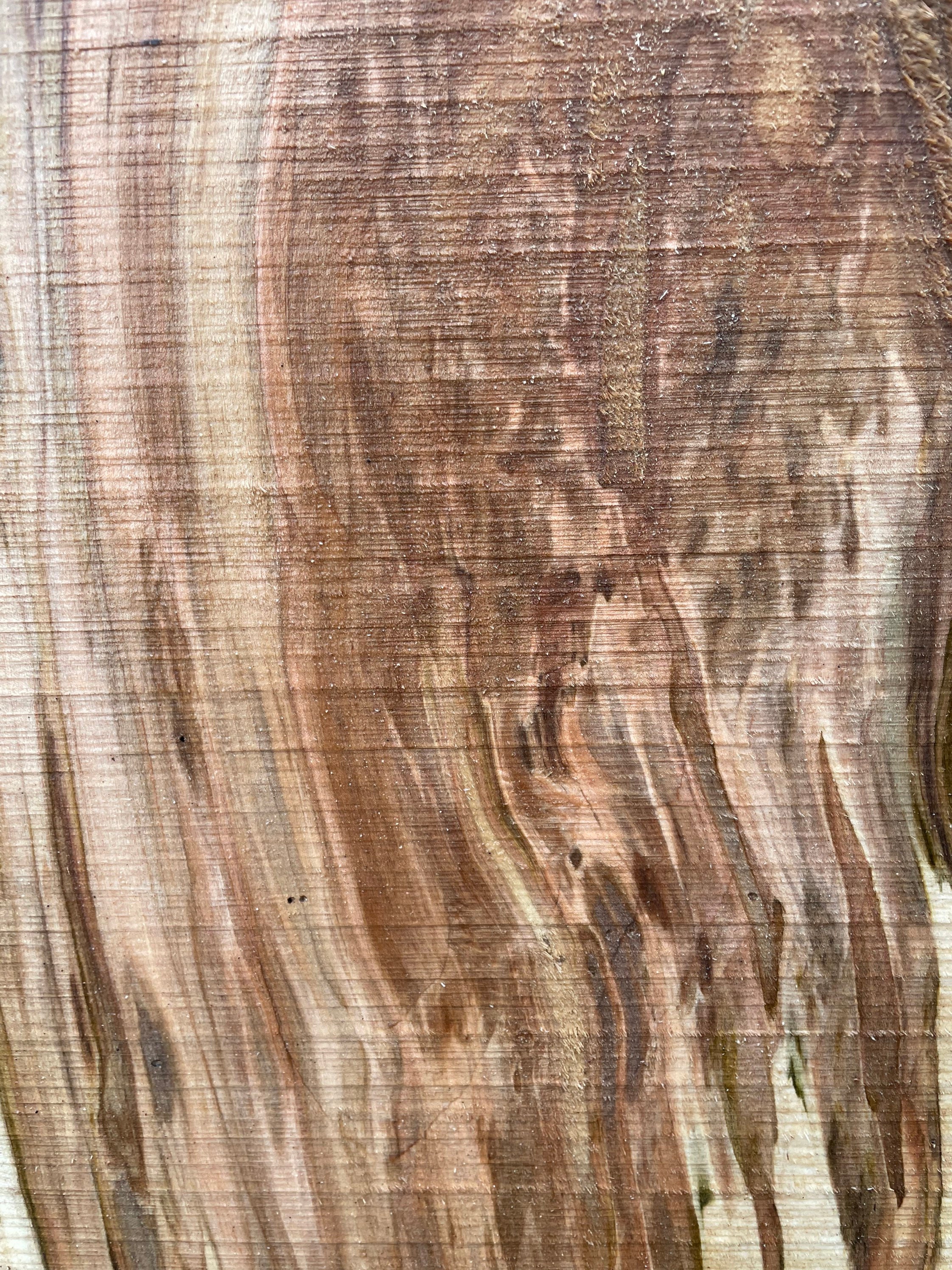 Ambrosia (wormy) Soft Maple Slab #1234 - Etsy