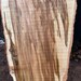Ambrosia (wormy) Soft Maple Slab #1234 - Etsy
