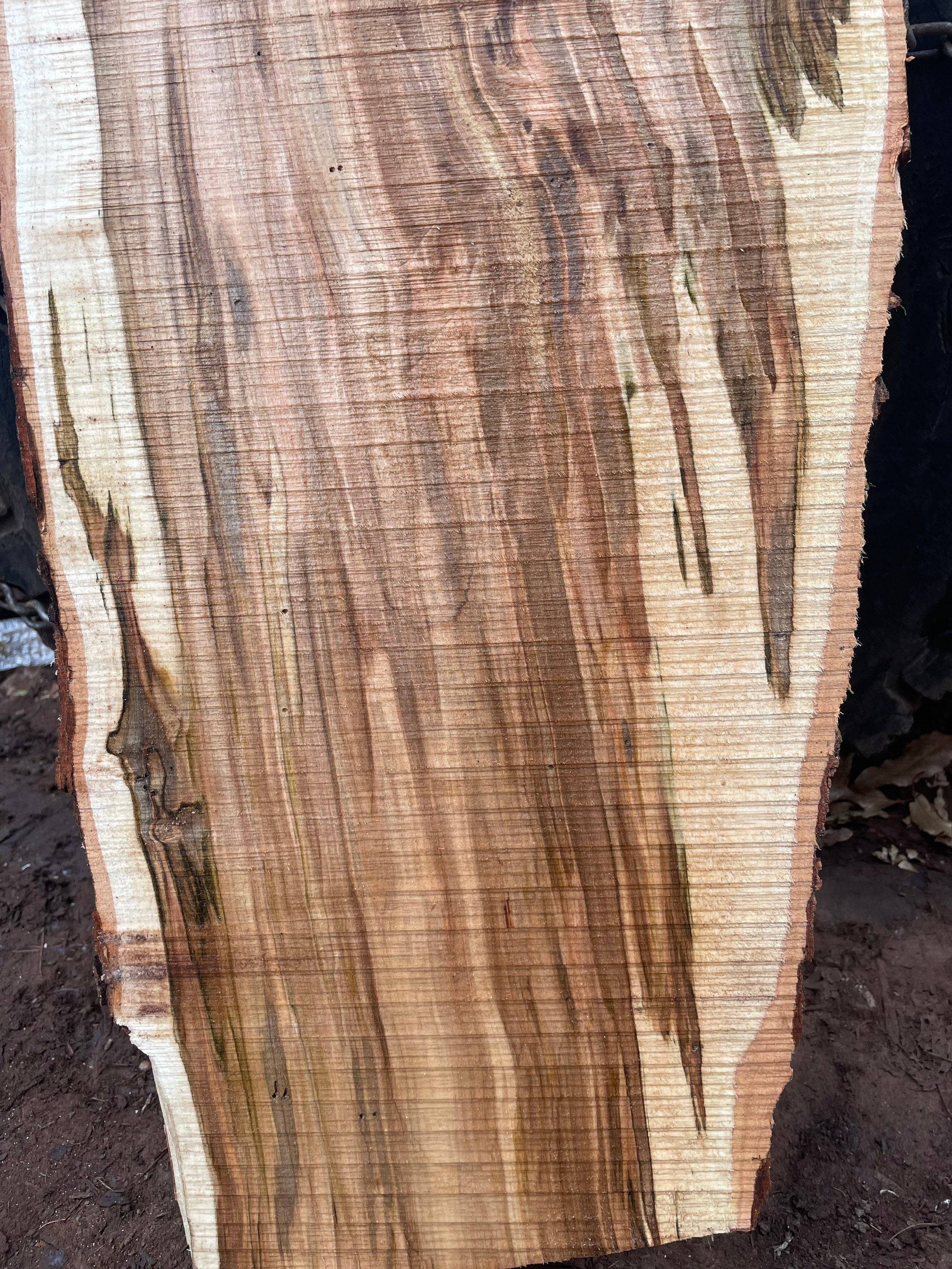 Ambrosia (wormy) Soft Maple Slab #1234 - Etsy