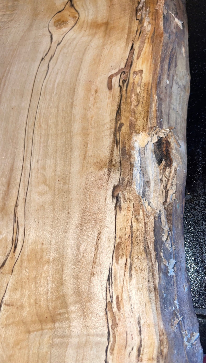 Spalted Maple Slab #1673 - Etsy