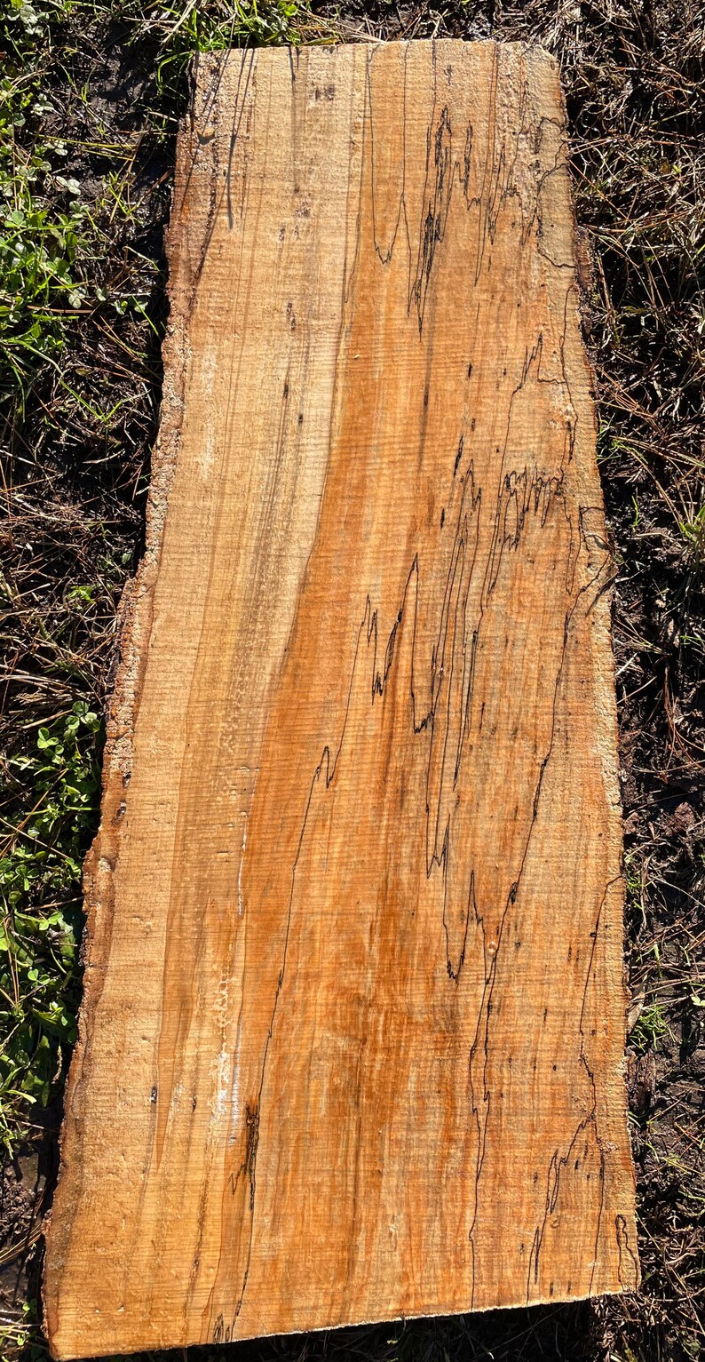 Spalted Maple Slab 1198 - Etsy
