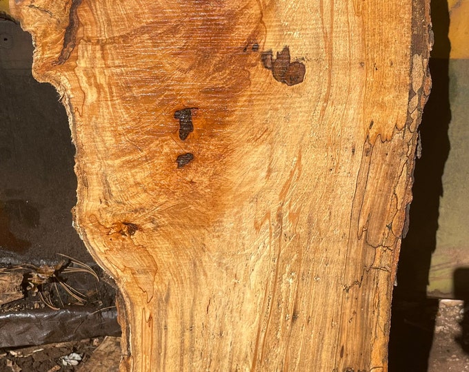 Spalted Maple Slab 1202 - Etsy