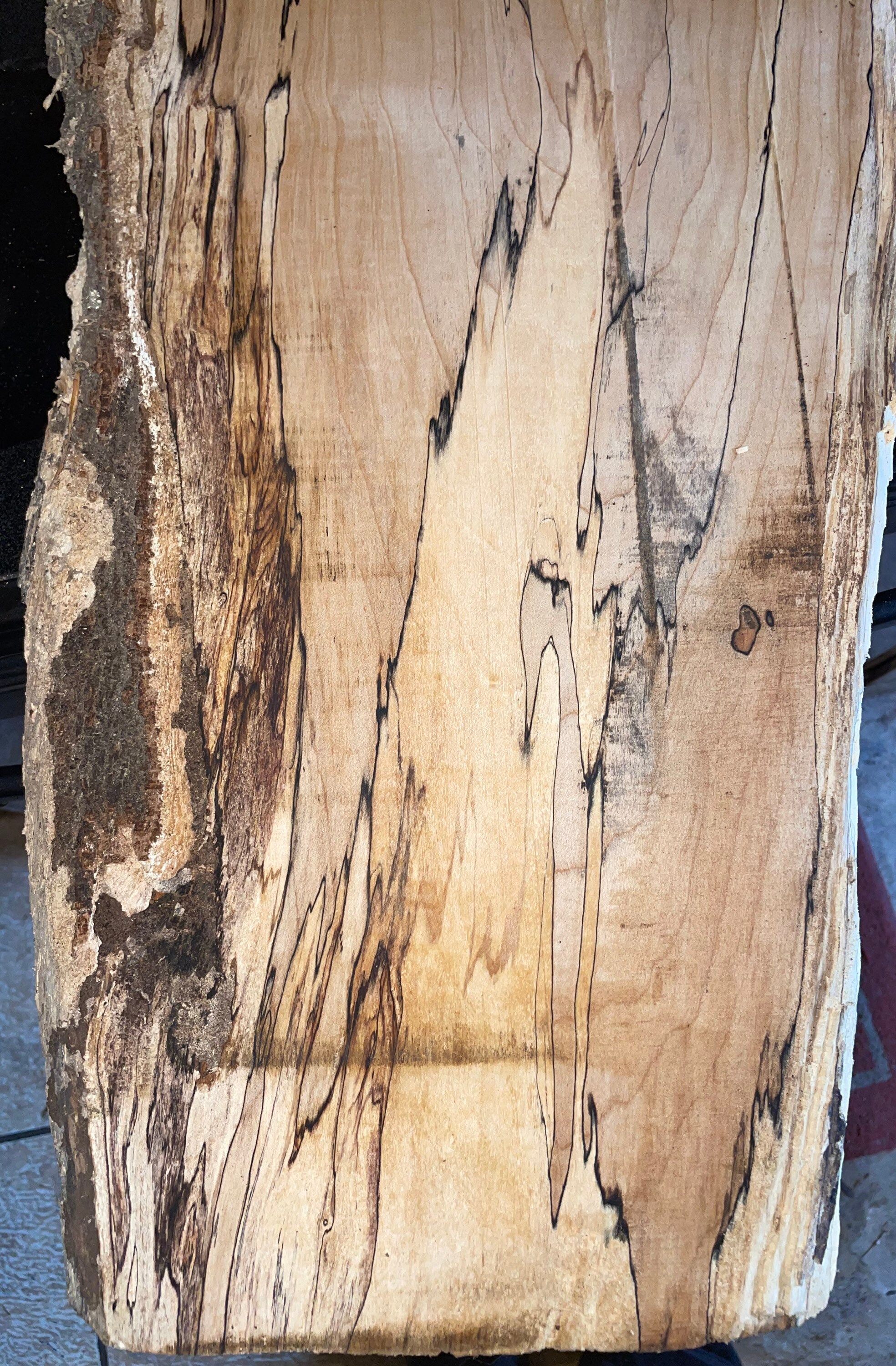 Spalted Maple Slab #1553 - Etsy