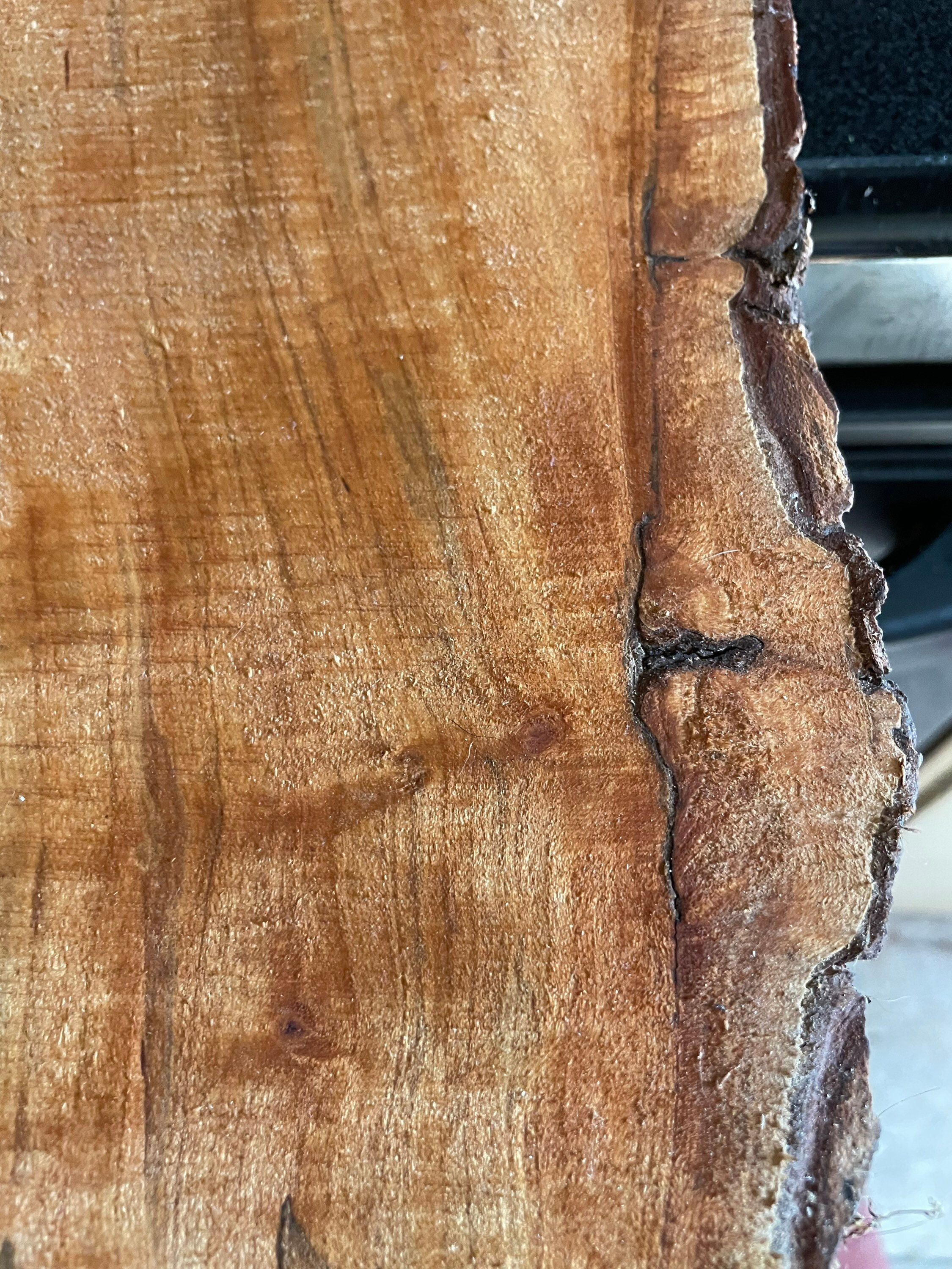 Ambrosia wormy Maple Slab 1544 - Etsy