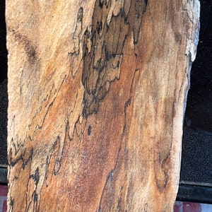 Spalted Maple Slab #1713 - Etsy