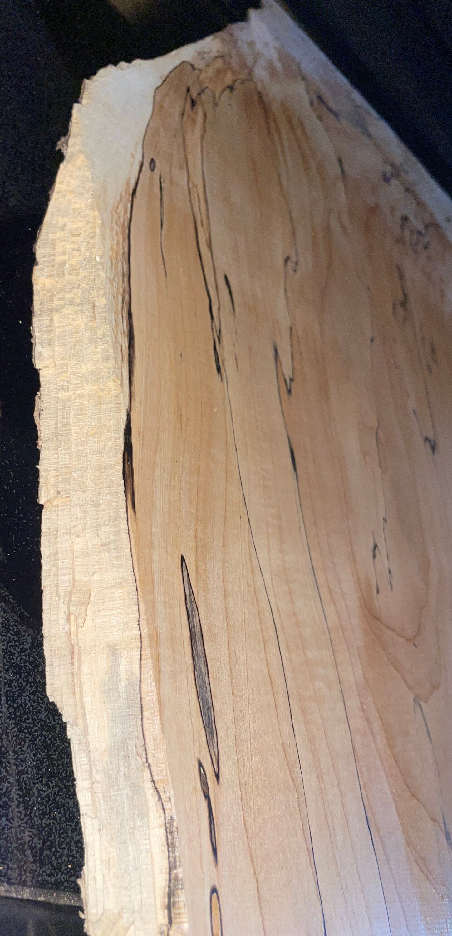 Spalted Maple Slab 1553 - Etsy