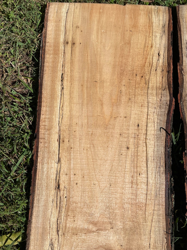 Book Matched Spalted Maple Slabs #1182 - Etsy