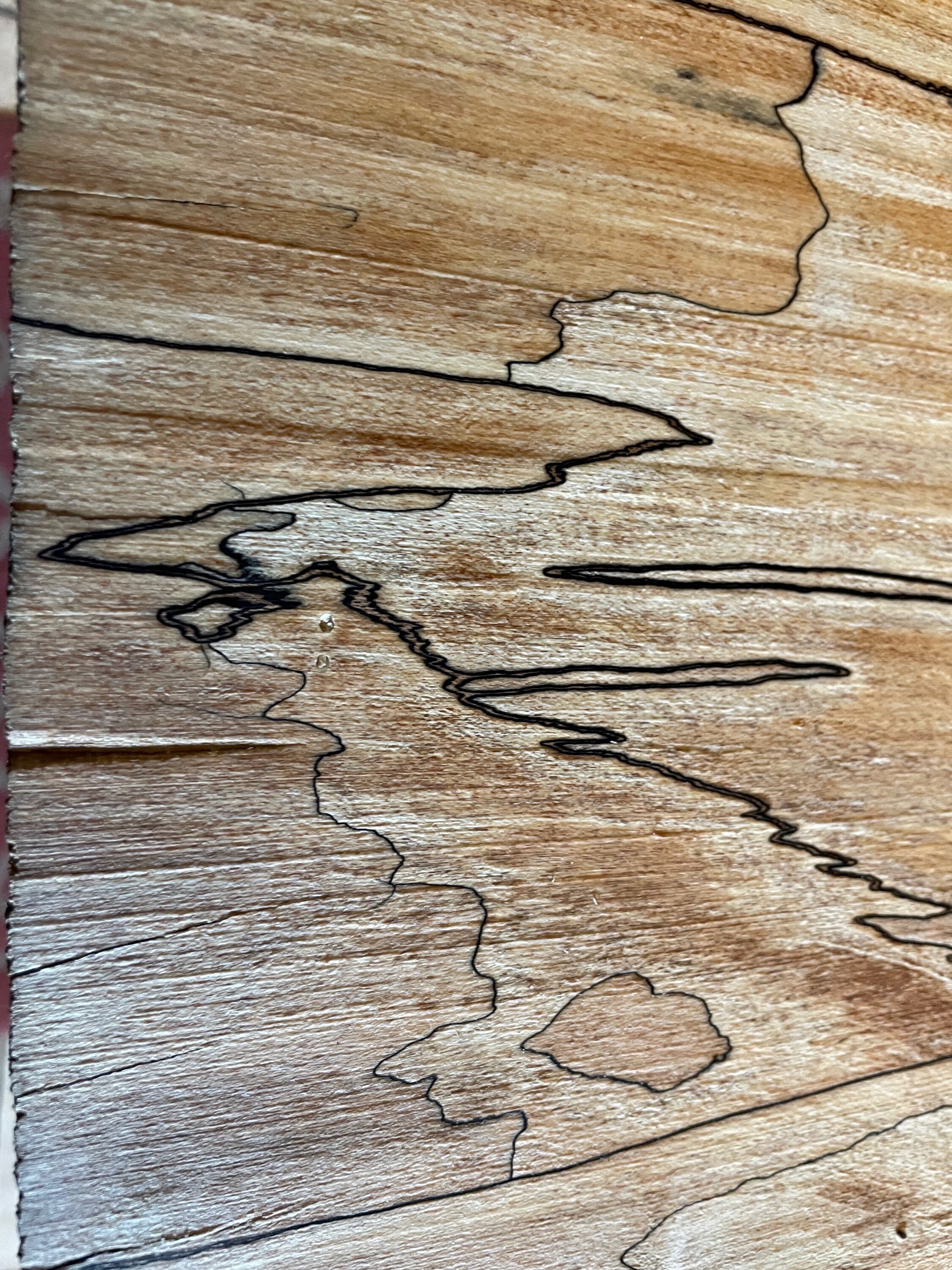 Spalted Maple Slab #1837 - Etsy