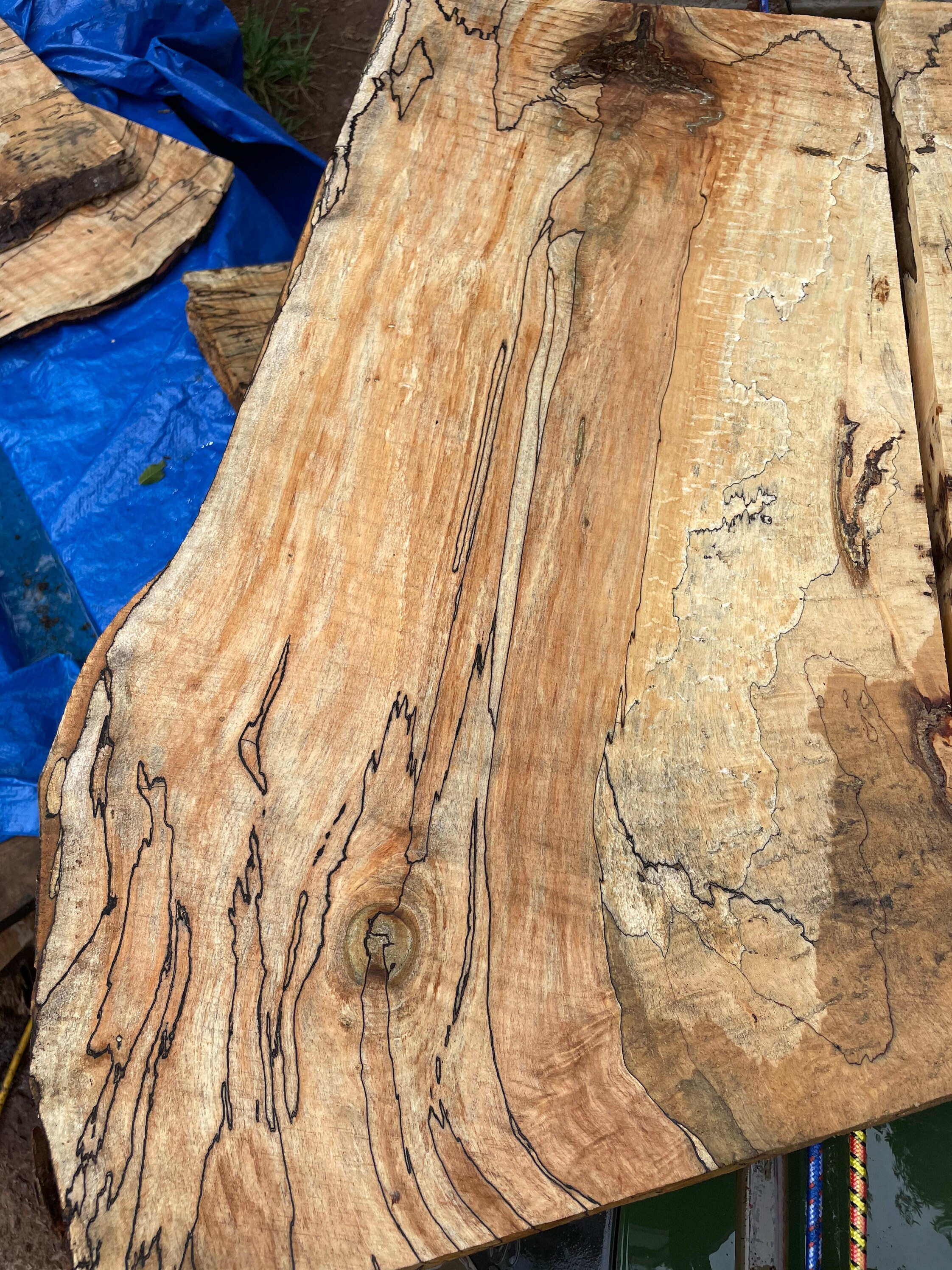 Spalted Maple Book Matched Set 1101 - Etsy