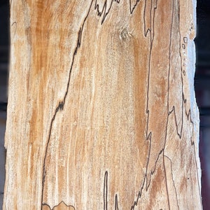 Spalted Maple Slab #1837 - Etsy