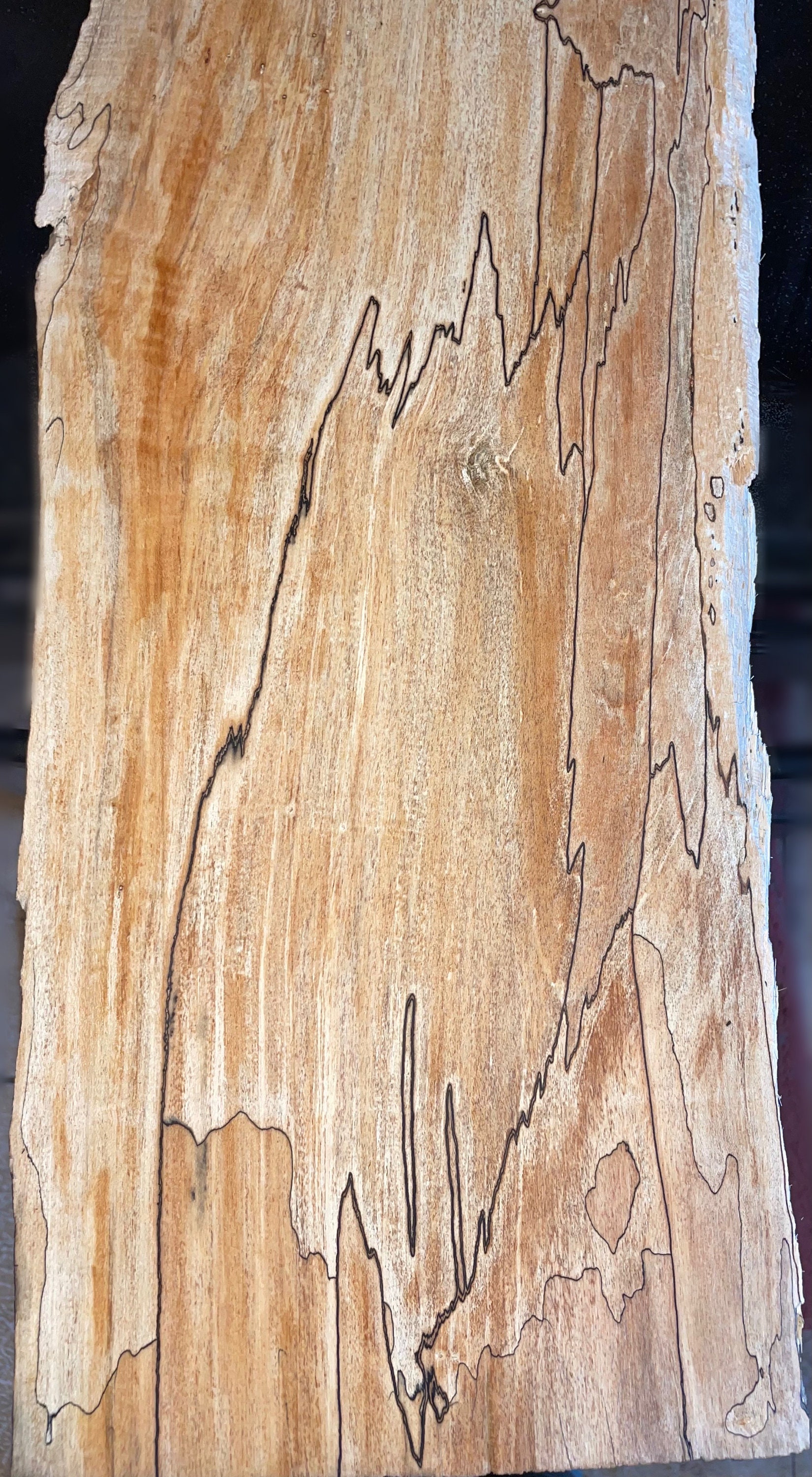 Spalted Maple Slab #1837 - Etsy